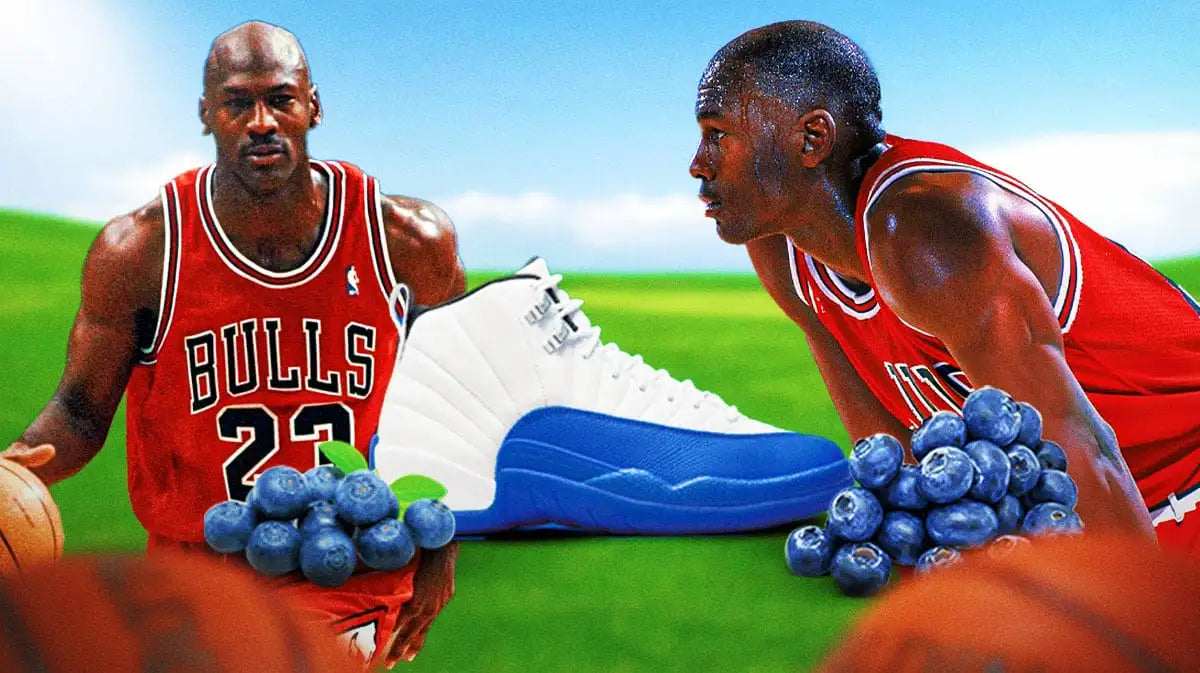 Jordan 12 "Blueberry" Collection